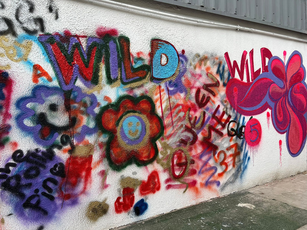 Wild Paint House. GO WILD!!